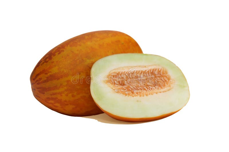 271 Musk Melon Plant Stock Photos - Free & Royalty-Free Stock Photos ...