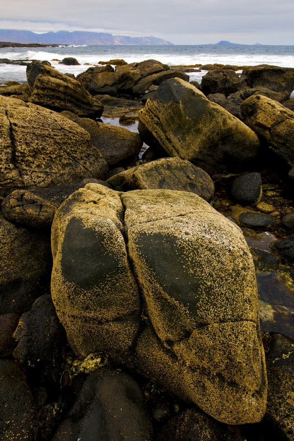 Musk pond beach water stock photo. Image of ocean, sand - 40691456