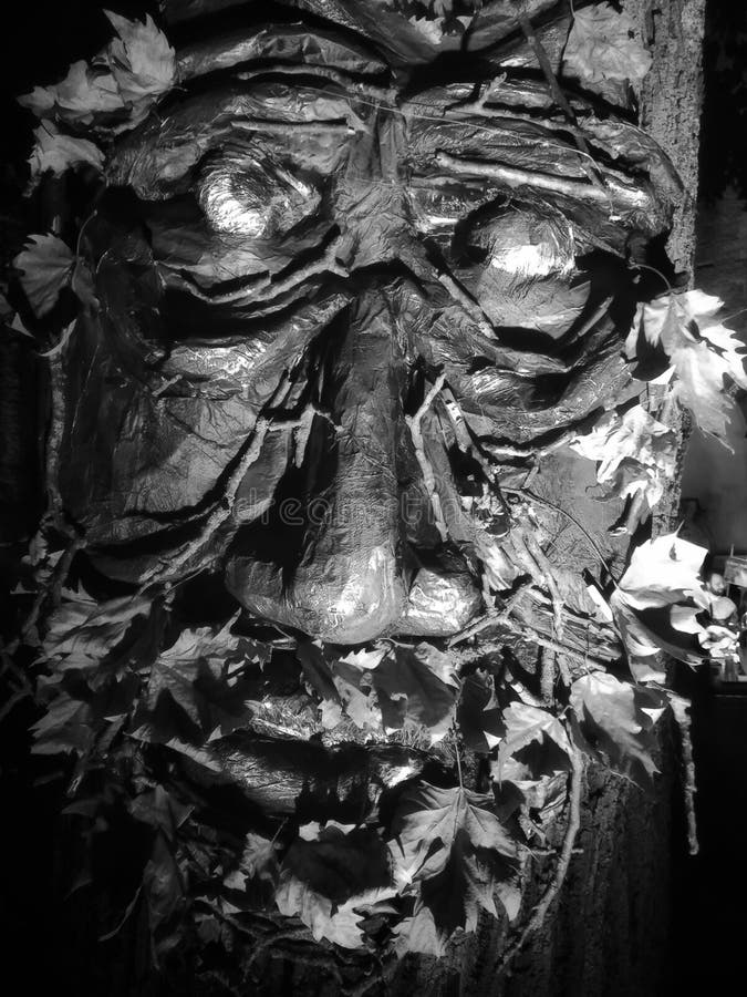 Musk stock photo. Image of musk, herbs, wood, human - 137058348