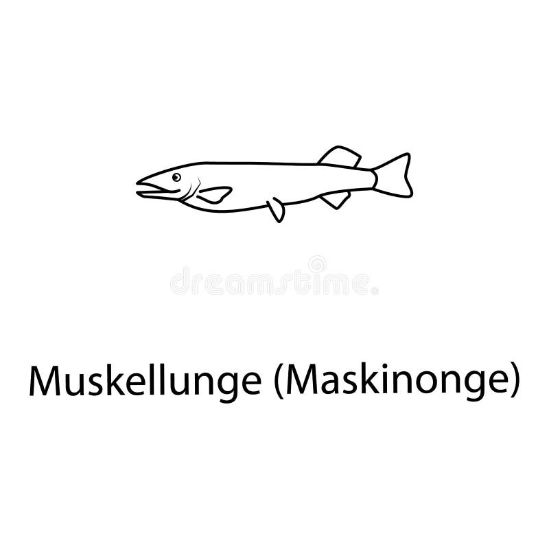 Muskellunge Concept Stock Illustrations – 4 Muskellunge Concept Stock ...