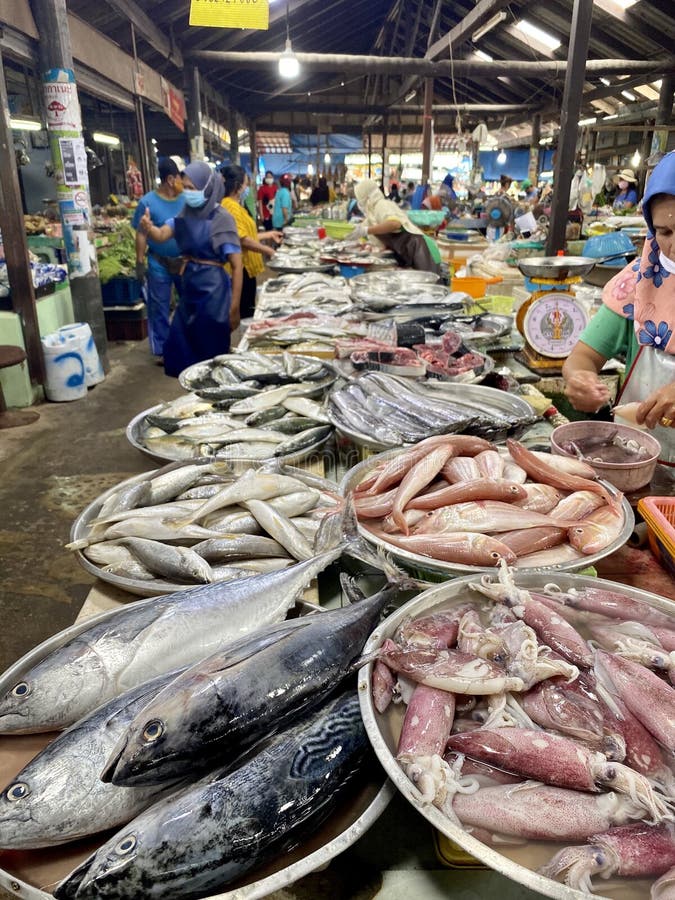 The Muslim fish market stock image. Image of tropics - 179099869