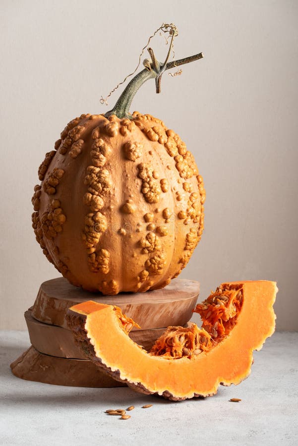 Musquee De Maroc Butternut Pumpkin on Table Stock Image - Image of ...