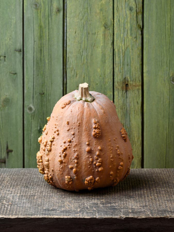 Maroc stock photo. Image of light, maroc, morocoo, beautiful - 131442232