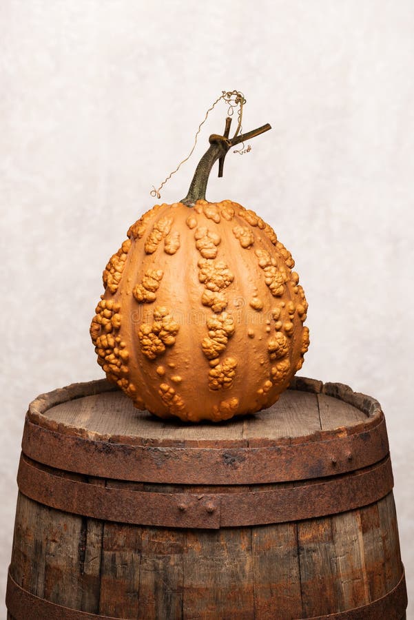 Maroc stock photo. Image of light, maroc, morocoo, beautiful - 131442232