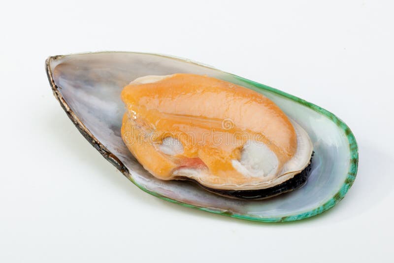 Open green lipped mussel stock image. Image of saltwater - 22480717