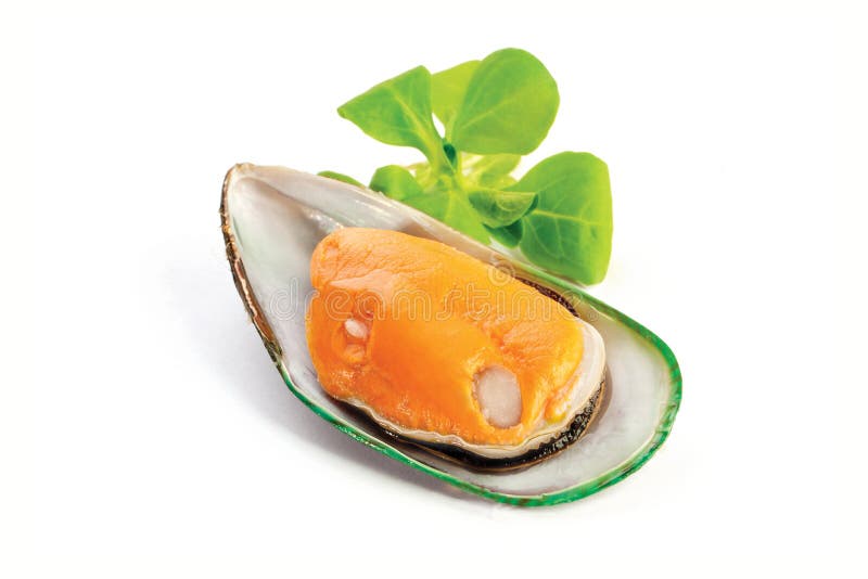 Edible mussels stock image. Image of preparation, gourmand - 7871235