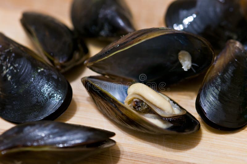 Cooked Dungeness crabs stock image. Image of mobile, shellfish - 28355401