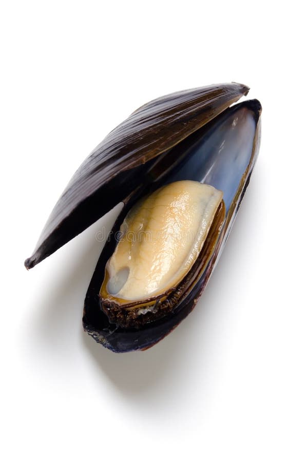 Mussel stock image. Image of mussel, parsley, prepared - 24224495