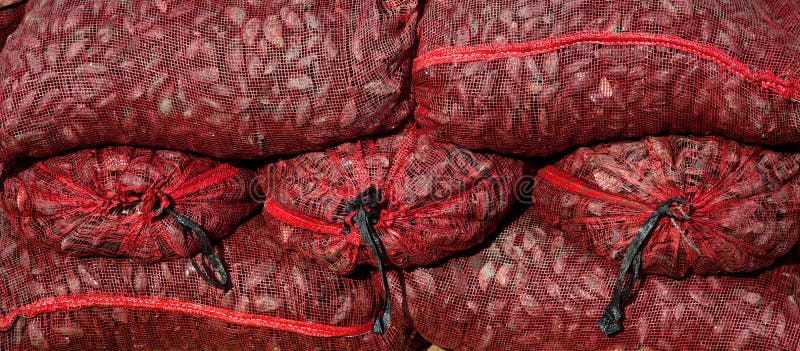 Mussel bags stock photo. Image of reflection, tide, esturary - 27182498