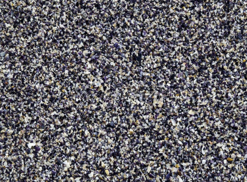 Mussel Beach, Many Crushed Seashells Stock Image - Image of geology ...