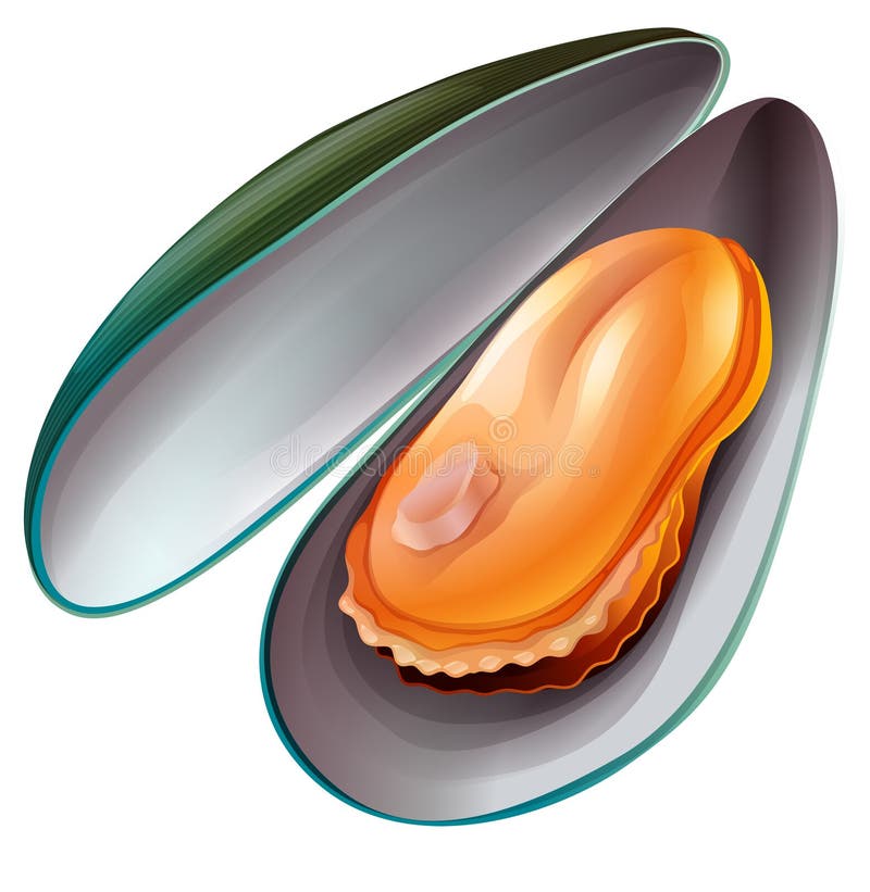 Boiled Mussel Stock Illustrations – 244 Boiled Mussel Stock ...