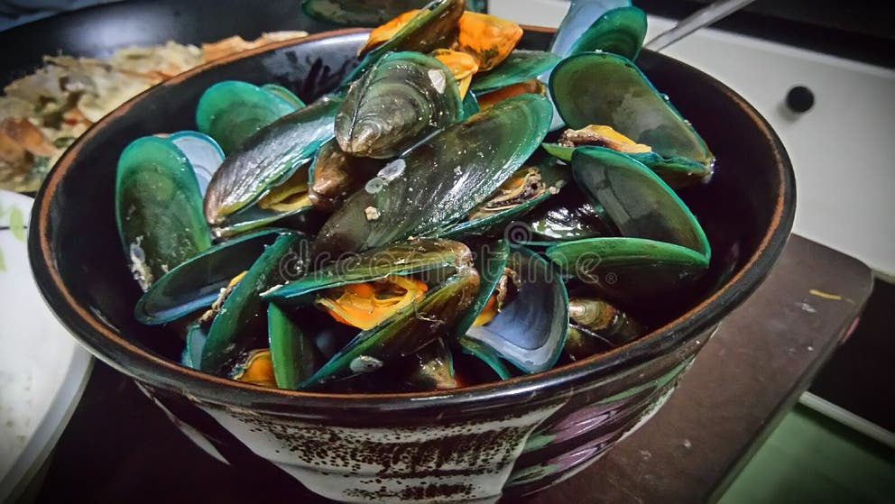 Mussel stock photo. Image of shell, market, eating, mussel - 97757932