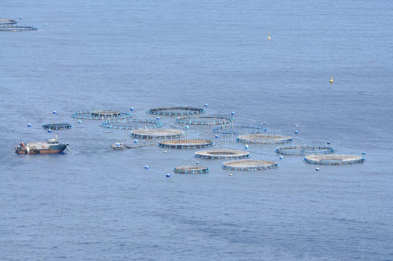 Mussel farm stock photo. Image of spain, mussel, industry - 11438808