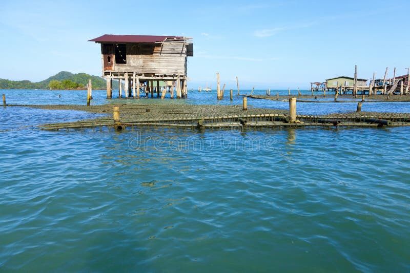Mussel farm stock photo. Image of beautiful, outdoors - 26116970