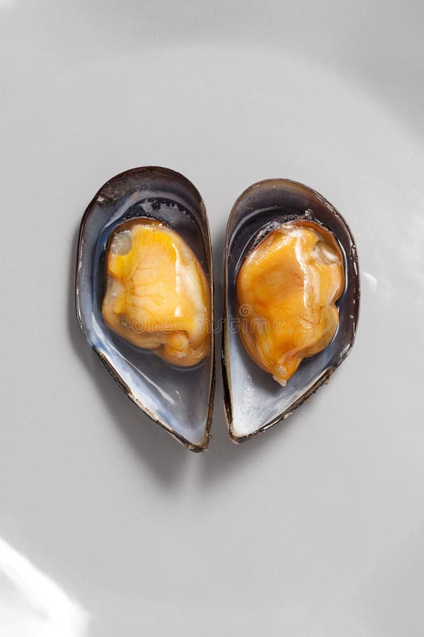 Mussel heart shape stock image. Image of shape, food - 12681925