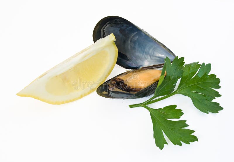 Mussel and lemon stock photo. Image of restaurant, lunch - 2479068