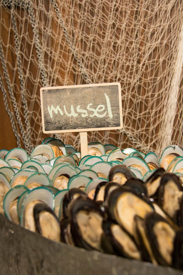 Mussel Seafood on Ice for Buffet Stock Image - Image of gourmet ...