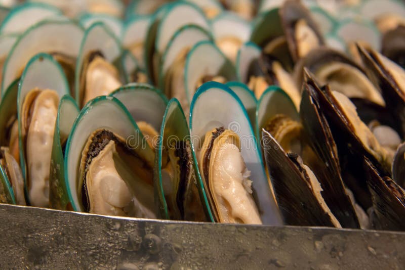 Mussel Seafood on Ice for Buffet Stock Image - Image of white ...