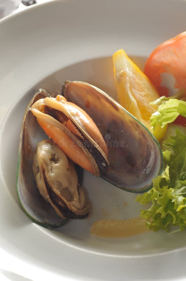 Mussel stock photo. Image of closeup, fruit, fresh, dish - 60626182