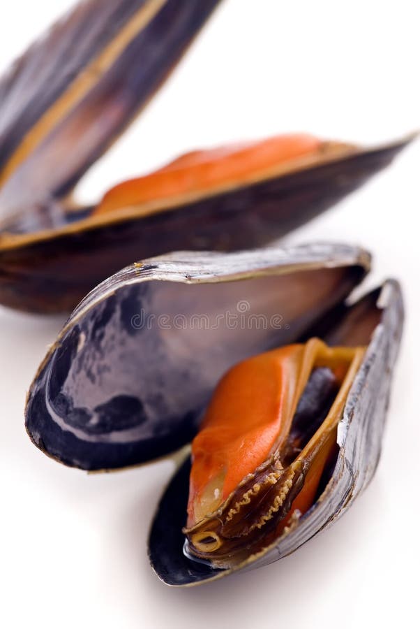 Mussels, Barnacles and Limpets in Galicia Stock Image - Image of ...