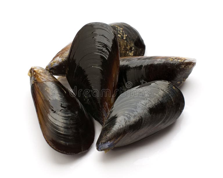 1,451 Raw Blue Mussels Stock Photos - Free & Royalty-Free Stock Photos ...