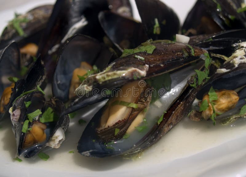 Platter of Mussels stock image. Image of watering, mussels - 1961687