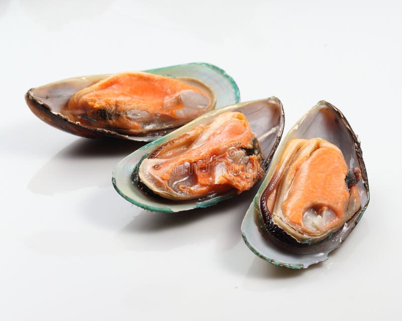 Mussels stock image. Image of mussels, blue, grey, mollusks - 95698605