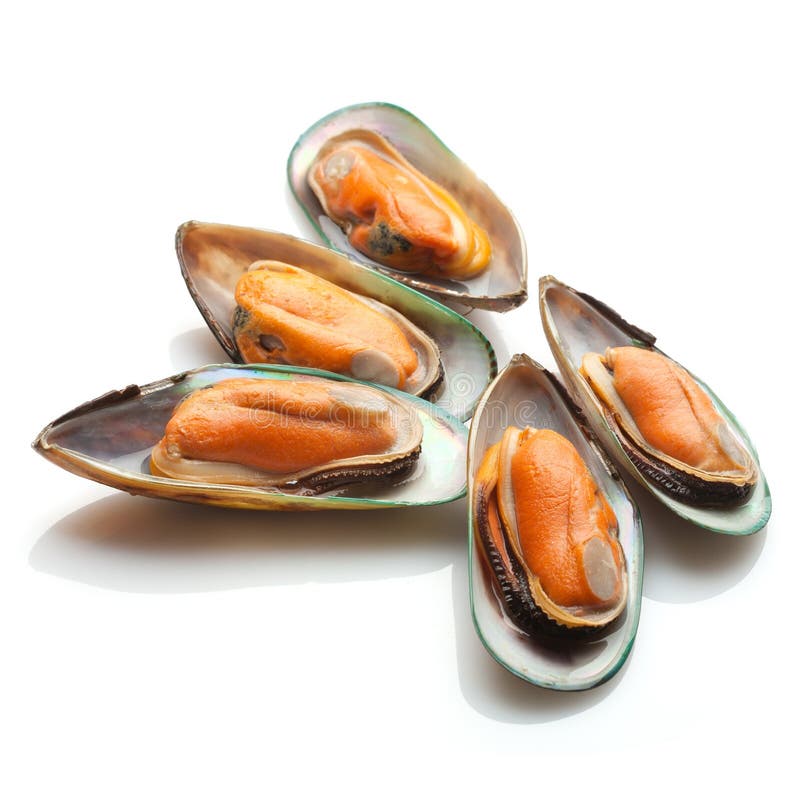 218 Cooked Half Shell Mussels Stock Photos - Free & Royalty-Free Stock ...