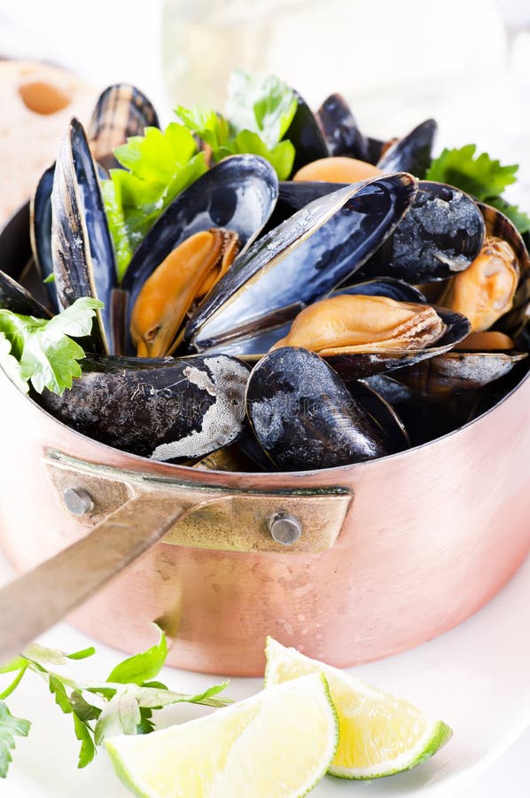 Horse mussels cooked stock photo. Image of seashell, leaves - 31355376