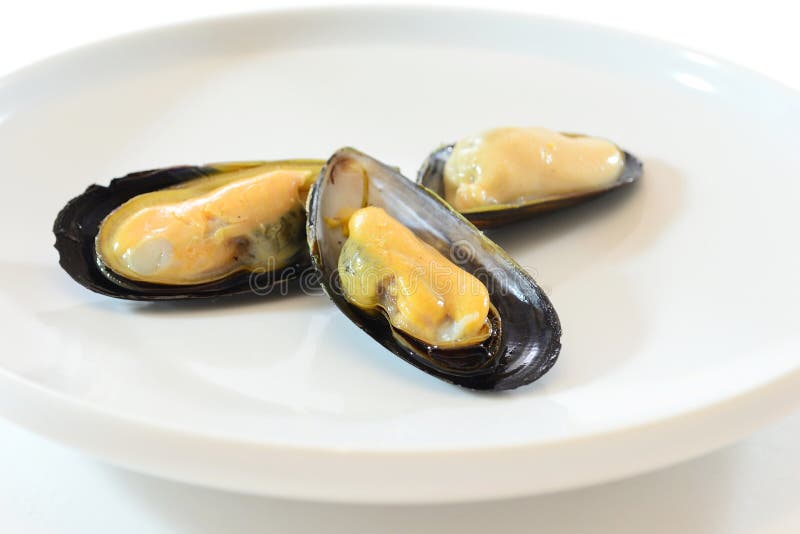 Mussels stock image. Image of mussels, blue, grey, mollusks - 95698605