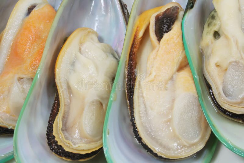 Nacre with raw pearl stock photo. Image of life, mussel - 16143166