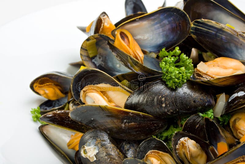 Cooked Open Chilean Mussel Mytilus Chilensis L. Flying Isolated on ...