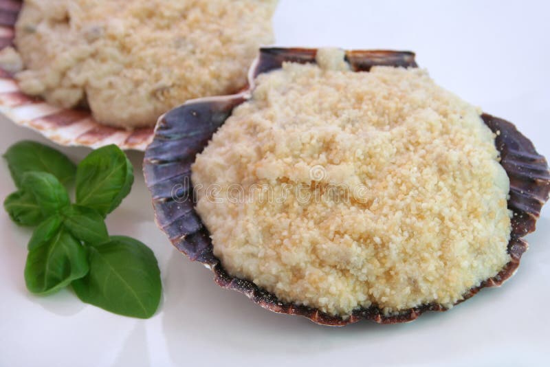 Mussels stock photo. Image of mussel, dish, shellfish - 9205648