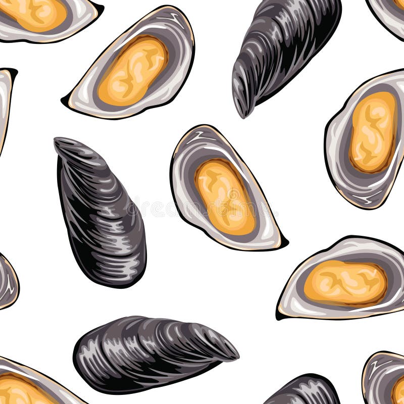 Mussel Shell Pattern Stock Illustrations – 1,316 Mussel Shell Pattern ...