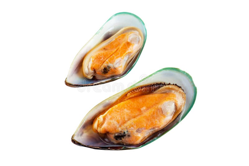 Mussels Boiled on a White Background Stock Image - Image of freshness ...