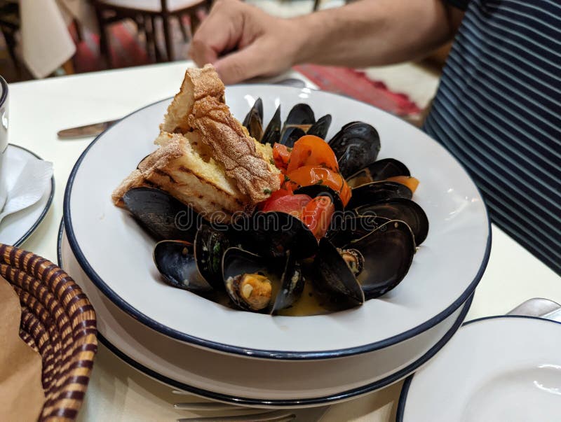 Mussels bread appetizer stock image. Image of dessert - 254116035