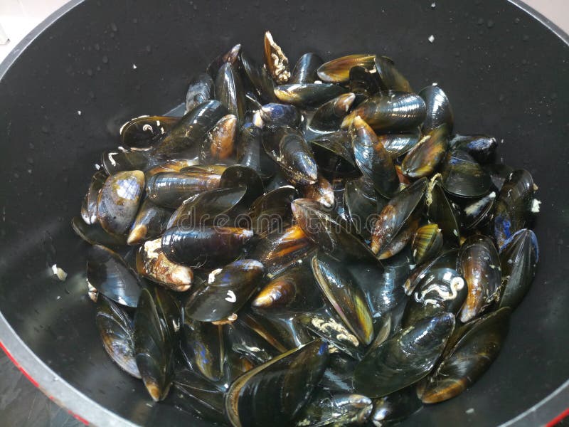 Mussels cooking in a pot stock photo. Image of water - 106363198