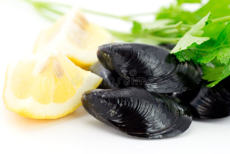 Mussels stock photo. Image of crustaceans, appetizer - 37124516