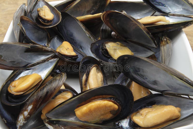 Cooked mussels stock photo. Image of food, cook, mussel - 2232274