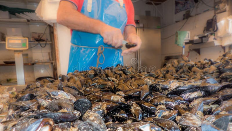Mussels at the fish shop stock photo. Image of mussel - 97179716