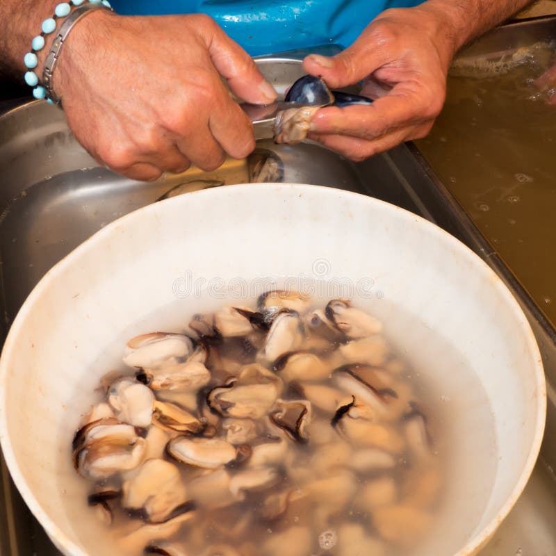 Mussels at the fish shop stock photo. Image of food, crustacean - 97258654