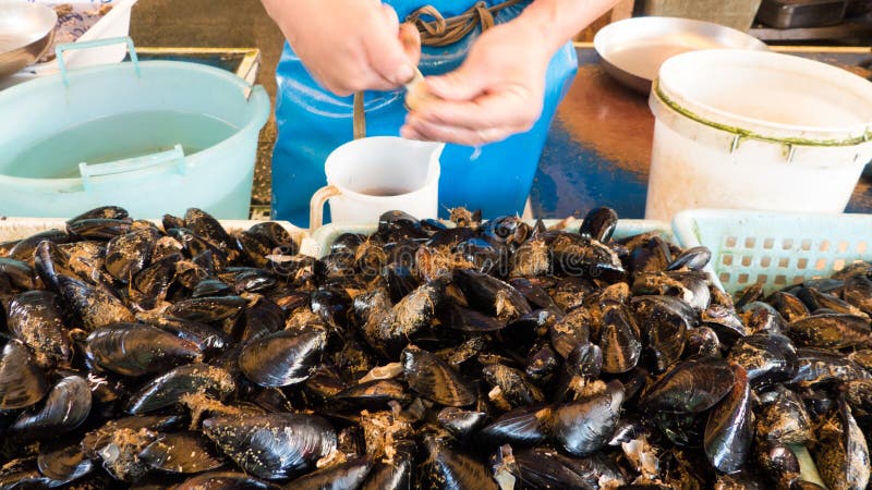 Mussels at the fish shop stock photo. Image of fresh - 97310046