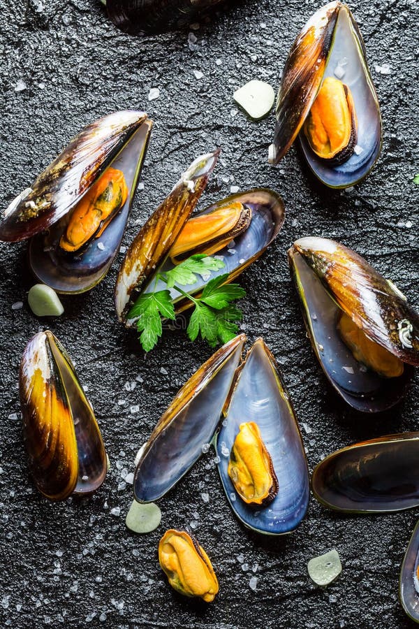 Mussels Side view stock photo. Image of cold, appetizer - 12678326