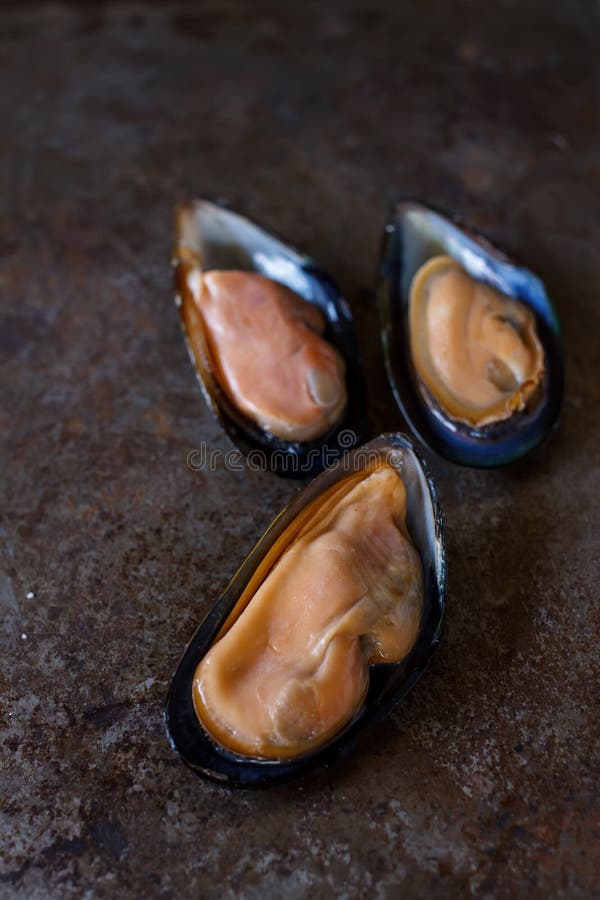 Mussels stock image. Image of common, culinary, gourmet - 49285225