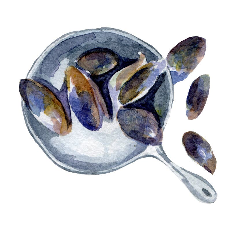 Mussels Illustration. Hand Drawn Watercolor on White Background. Stock ...