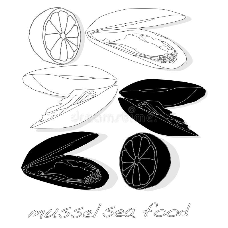 Mussels Illustration. Hand Drawn Watercolor on White Background. Stock ...