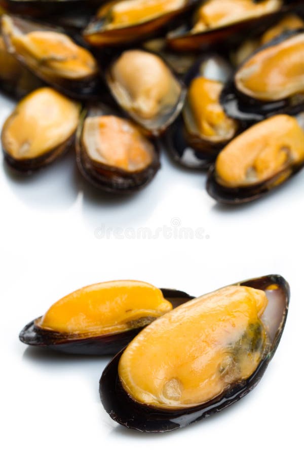 Mussels Isolated on White Background Stock Image - Image of gourmet ...