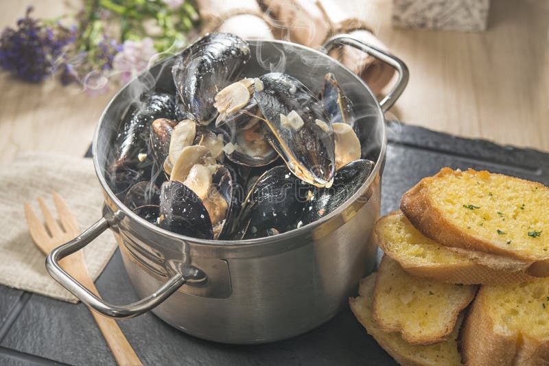 Mussels stock image. Image of saltwater, mussels, mussel - 70637641