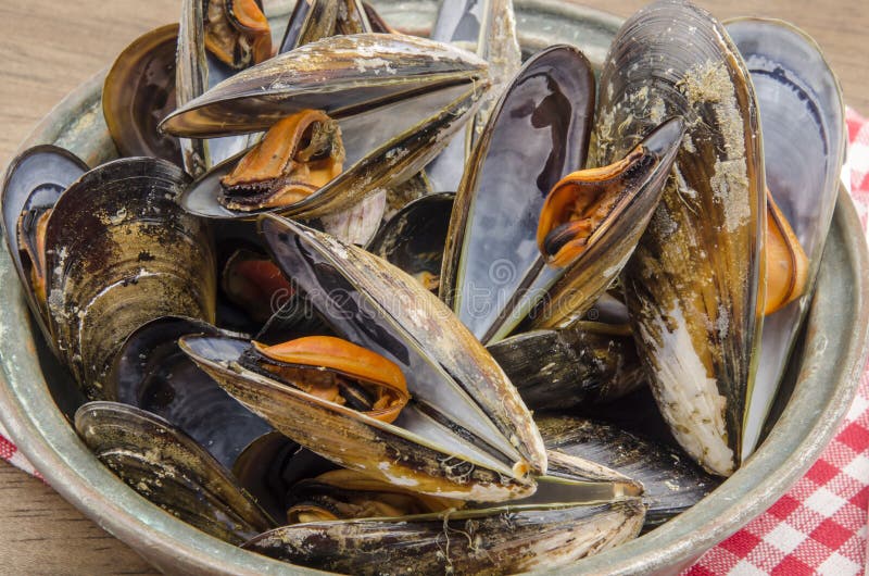 Mussels stock photo. Image of dish, lunch, cuisine, fish - 46142202