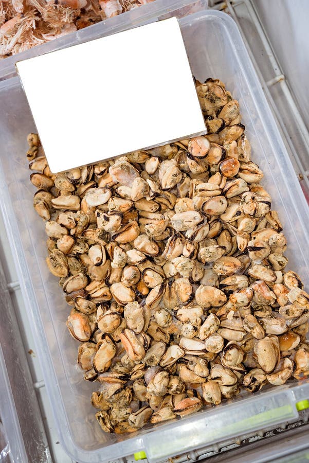 Mussels in plastic box stock image. Image of culinary - 76732159